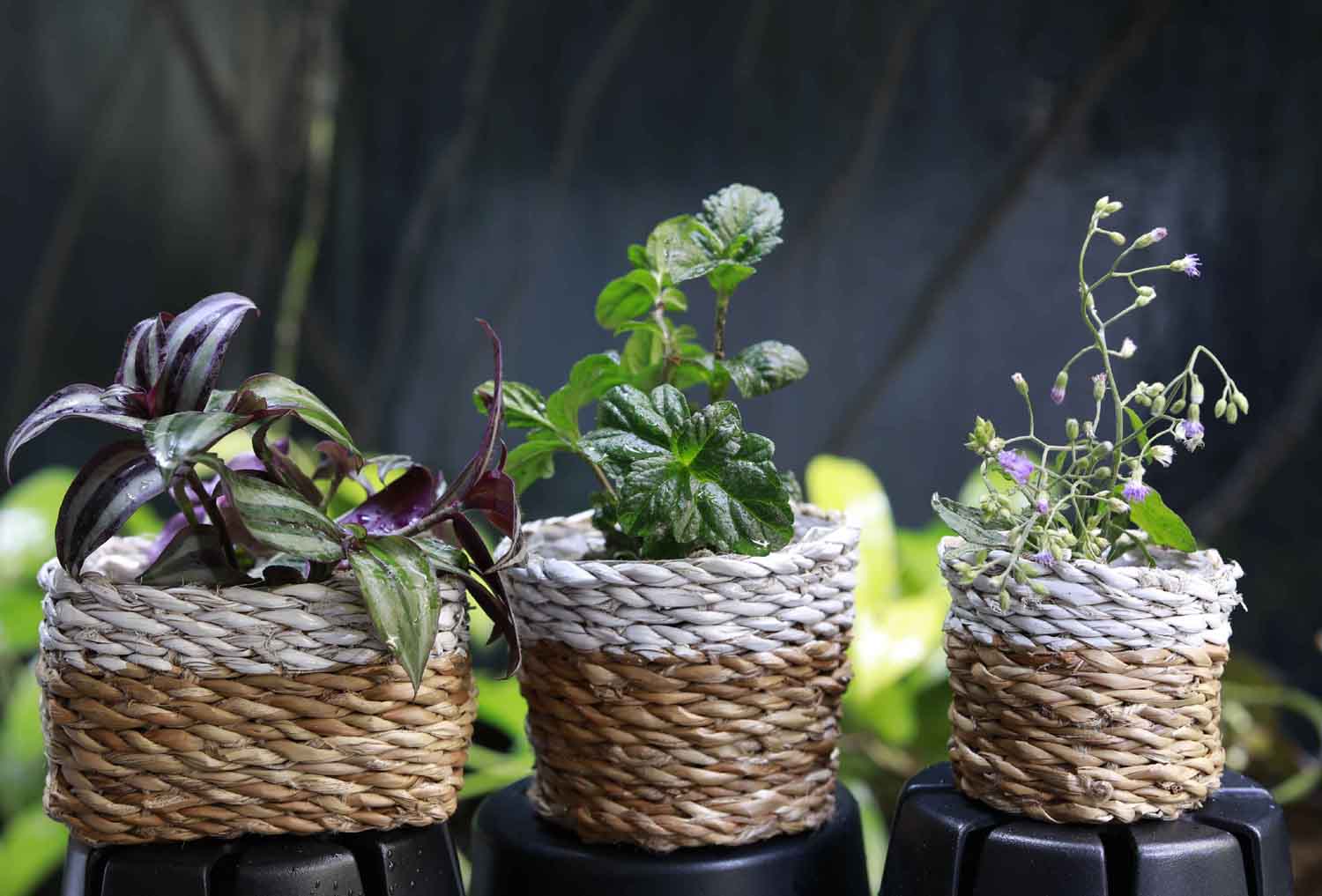 Nokshi HandiCrafts – Crafting Happiness